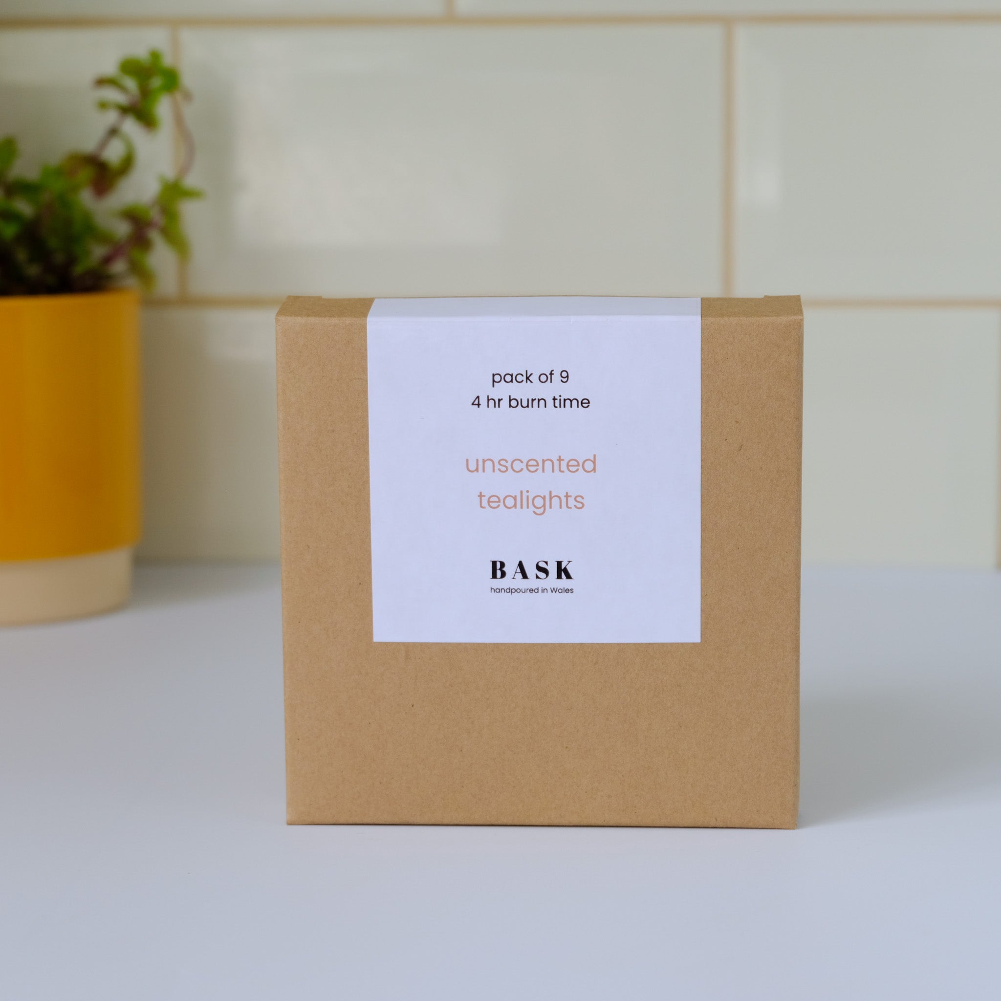 Unscented Tealights | Pack of 9 – BASK